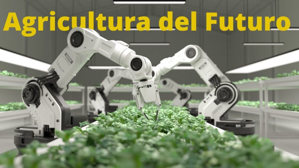 Descubre el Impacto de la Inteligencia Artificial en la Gestión de ...